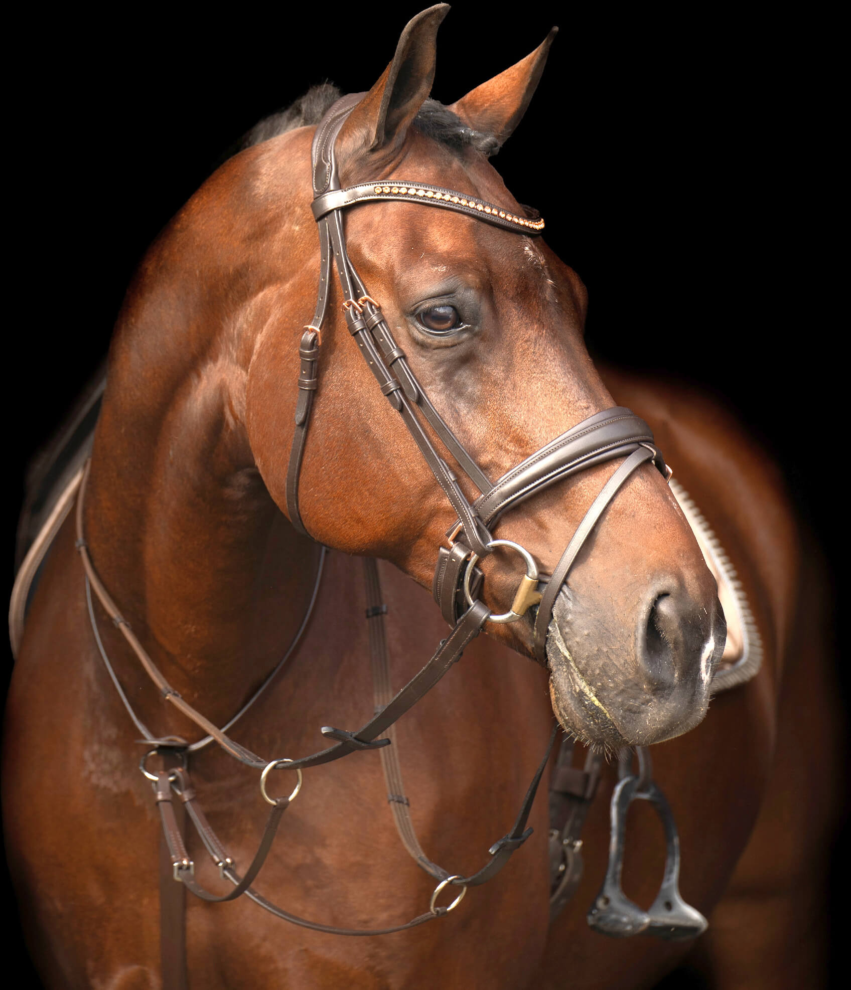 IMPERIAL RIDING Martingal Core | Martingal | Reitshop24.de