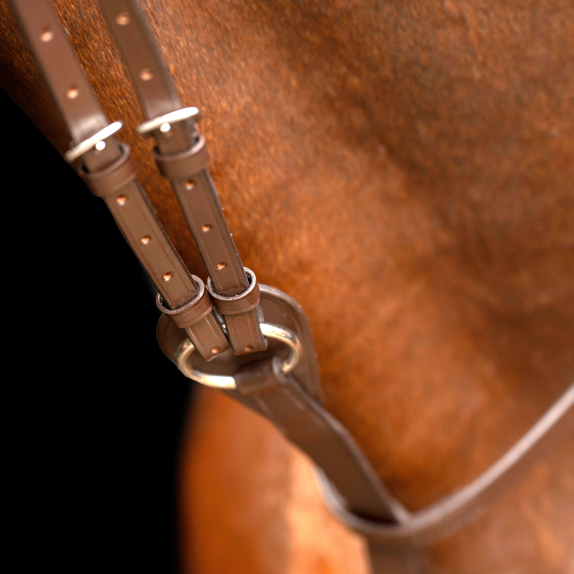 IMPERIAL RIDING Martingal Core | Martingal | Reitshop24.de